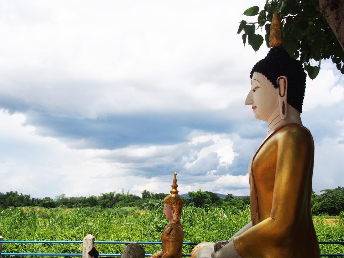 Cos’è il Buddismo, una religione oppure una filosofia? - Mirabile Tibet